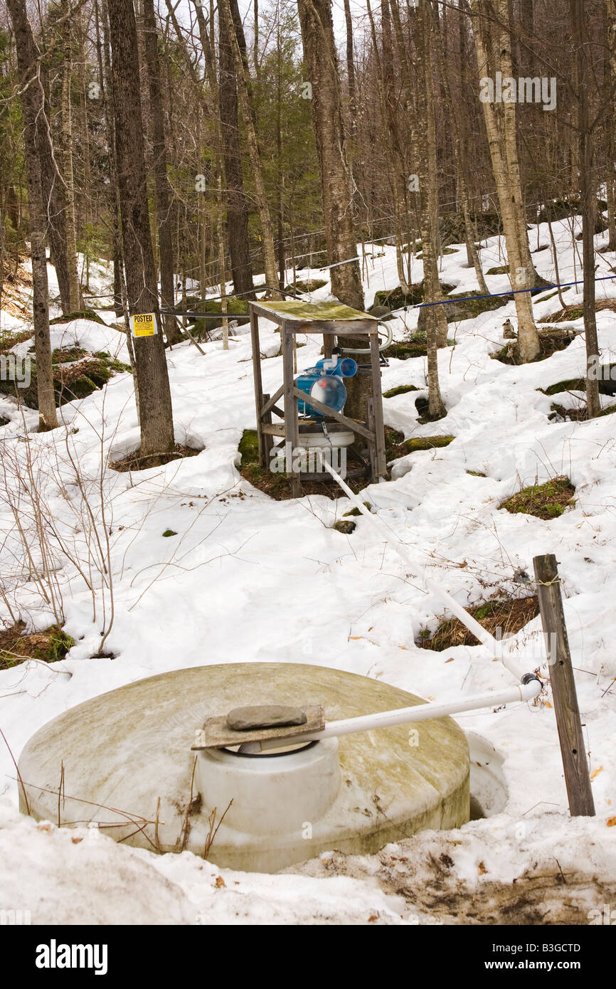 Maple Syrup Collection System Pittsford Vermont Stock Photo - Alamy