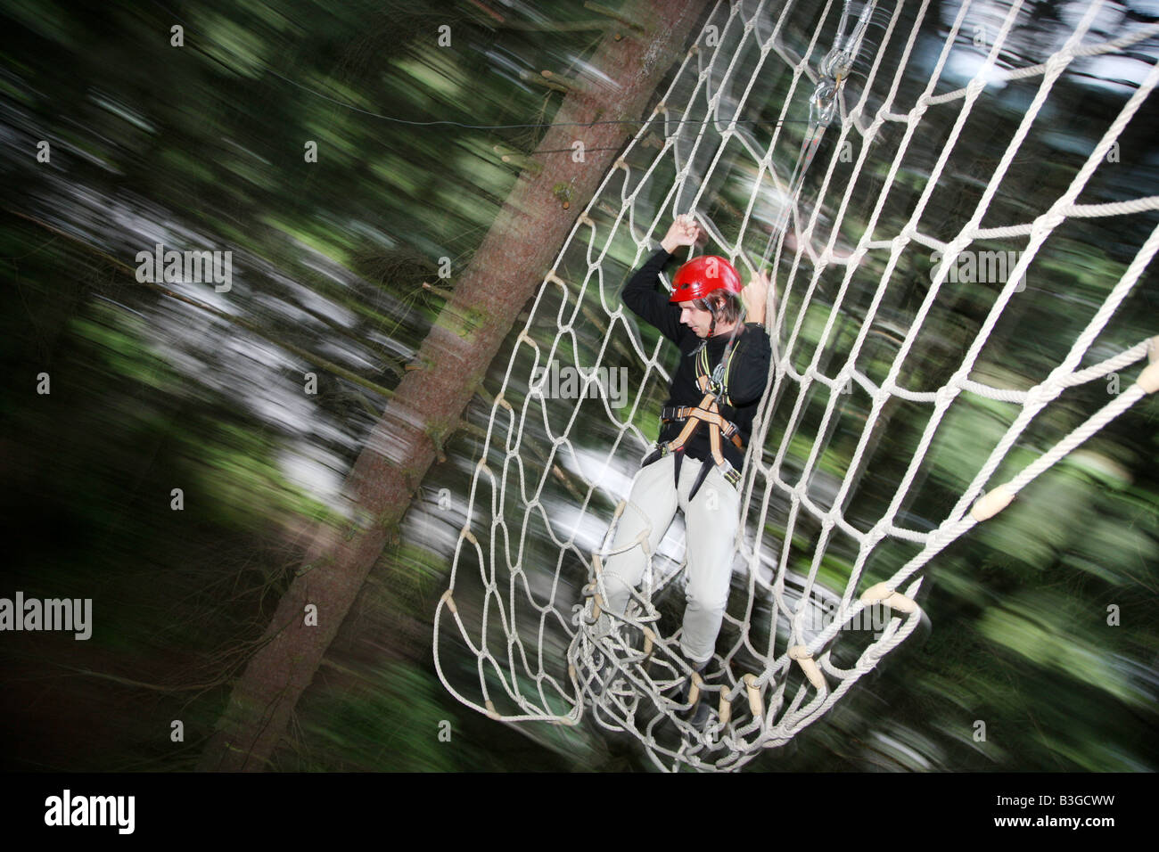 AUT Austria Tyrol Stubaital Stubai Valley, high ropes course Stock ...
