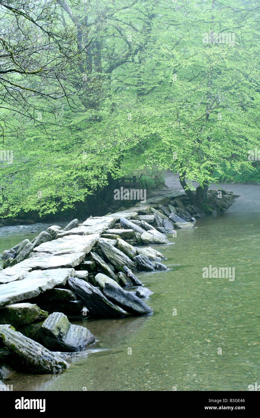 A spring dawn at Tarr Steps Exmoor Stock Photo - Alamy