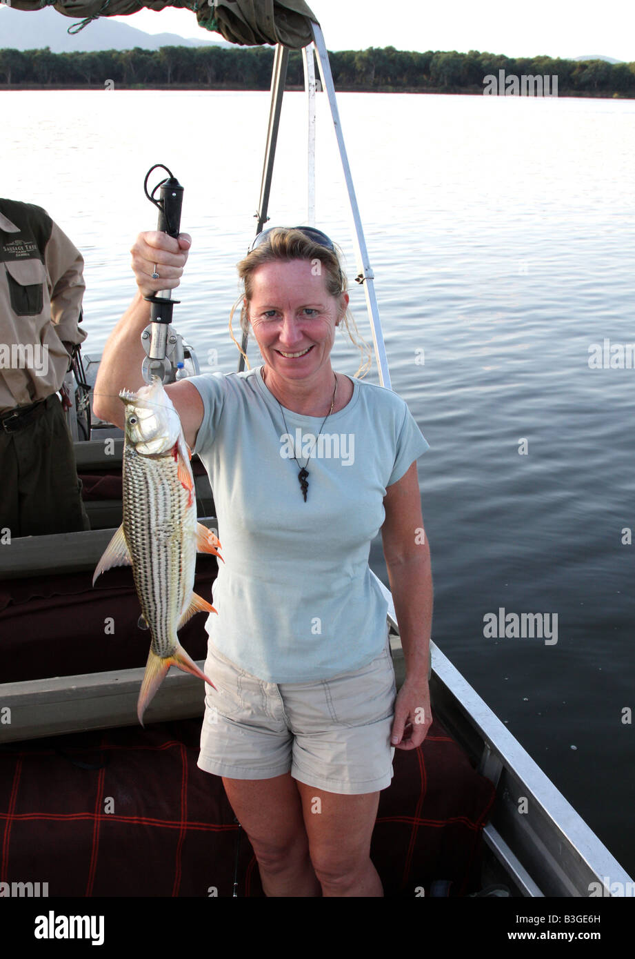 Tiger fish hi-res stock photography and images - Alamy