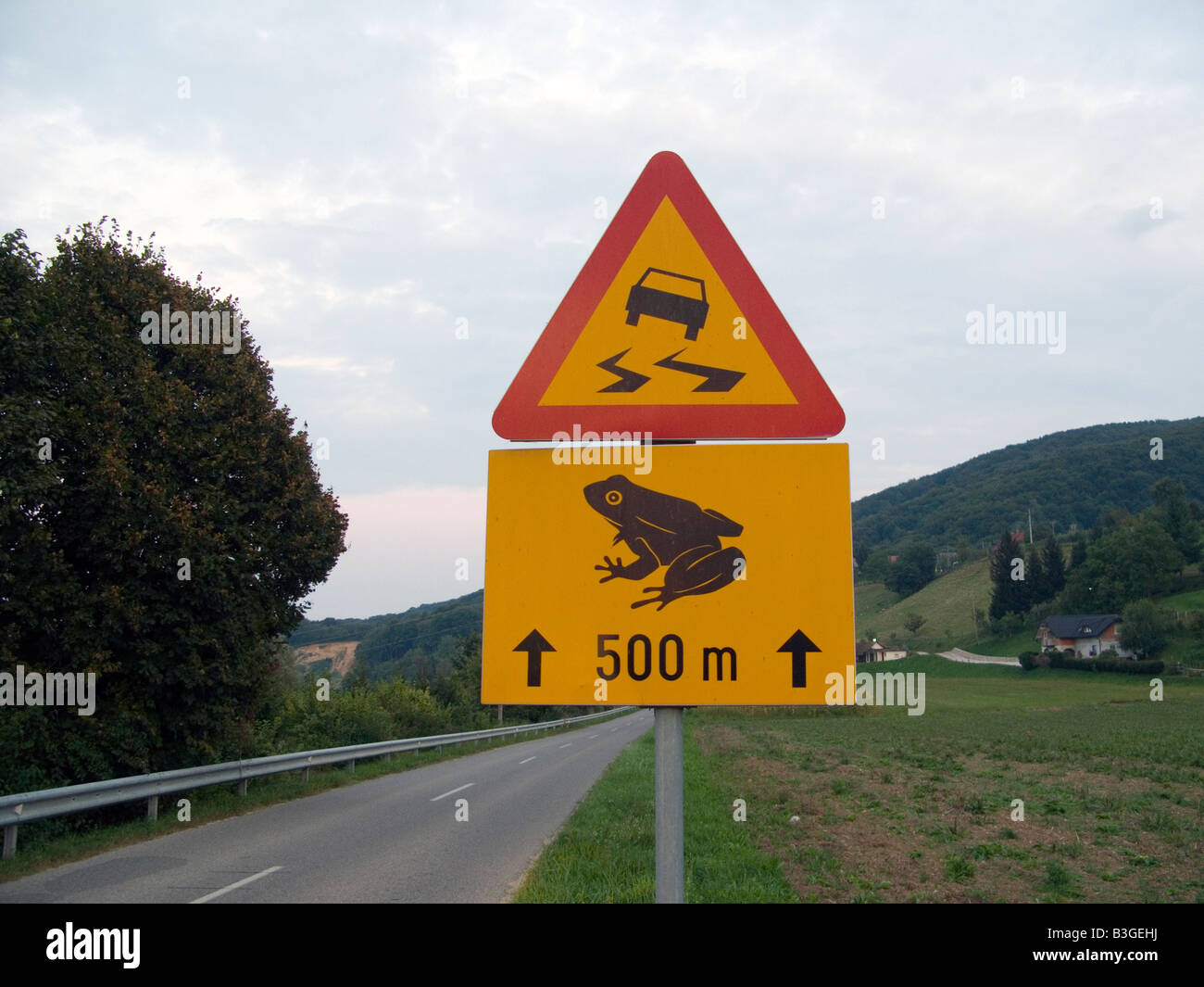 Frog road sign hi-res stock photography and images - Alamy