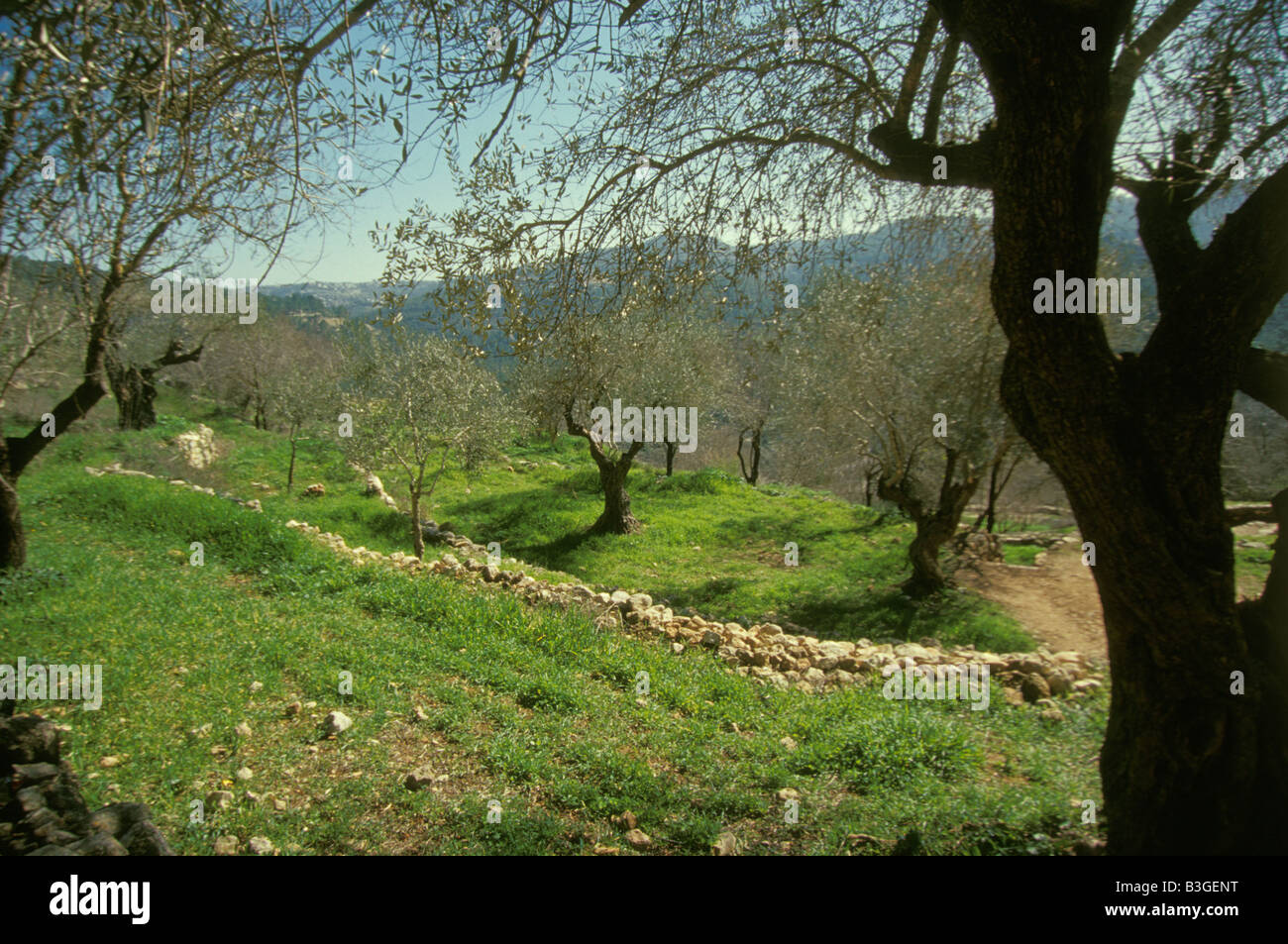Sataf hi-res stock photography and images - Alamy