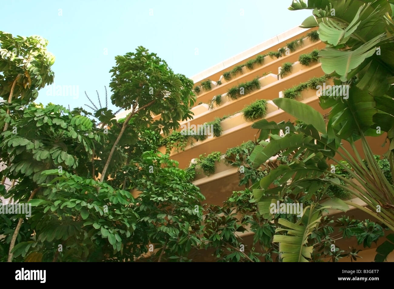 Beautiful building in the tropical city Stock Photo - Alamy