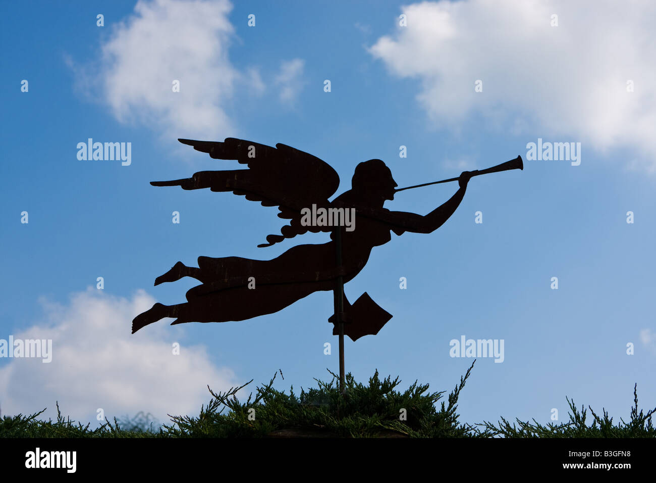 Weathervane weathervanes hi-res stock photography and images - Alamy