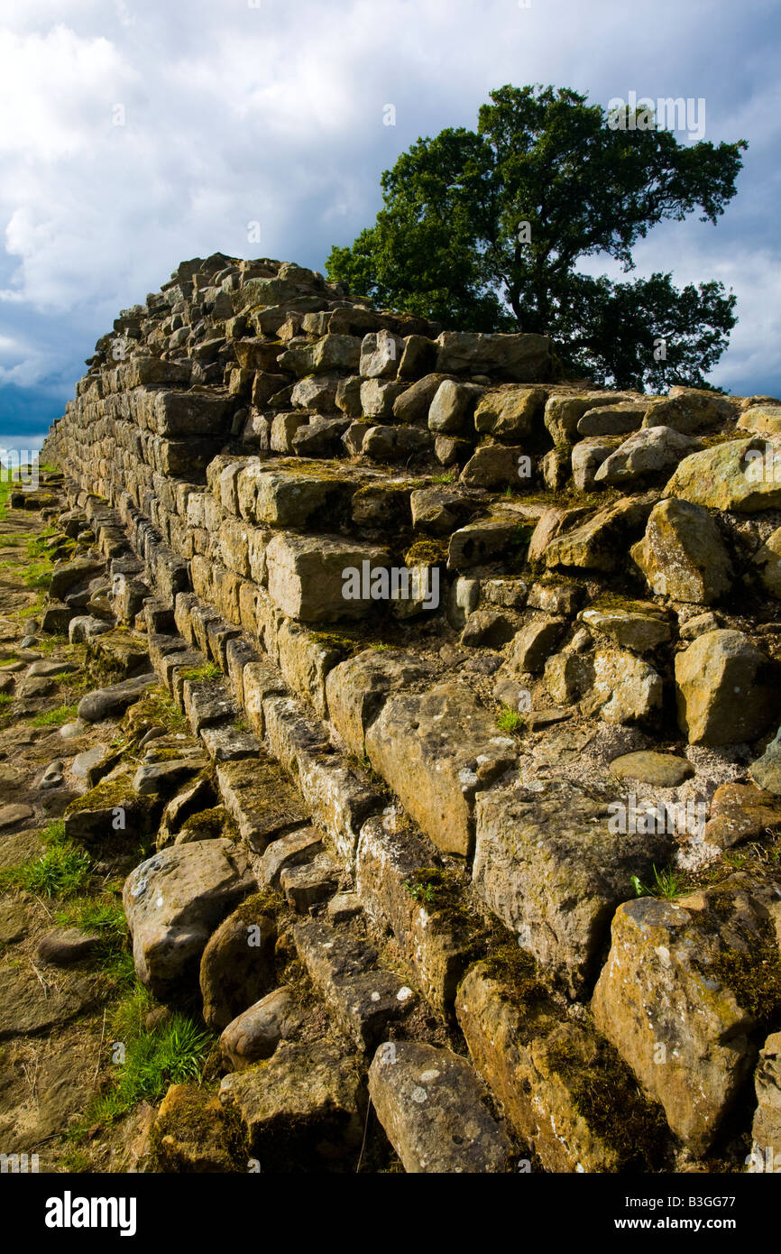 England Cumbria Gilsland Hadrians Wall path running alongside Hadrians ...