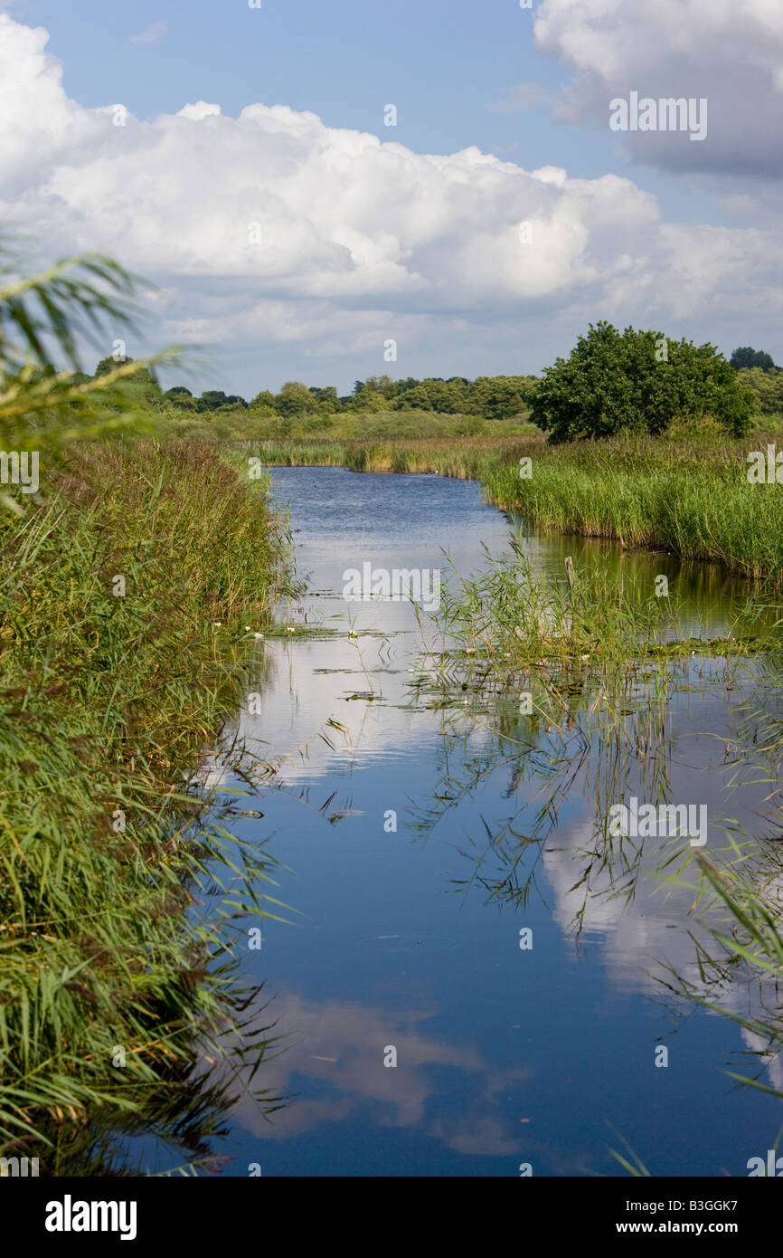 Strumpshaw fen norfolk wildlife reserve Stock Photo - Alamy