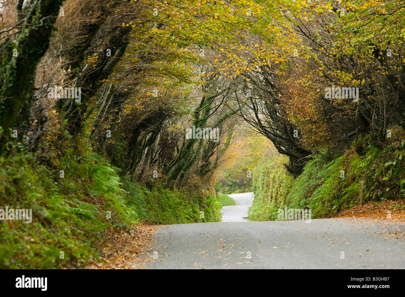 Camelford cornwall lane hi-res stock photography and images - Alamy