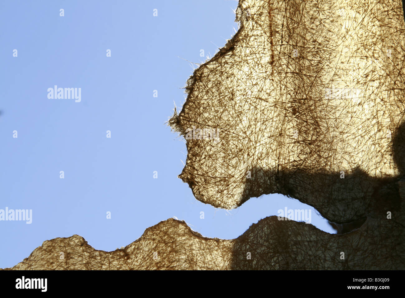 damaged asbestos window in derelict property Stock Photo - Alamy