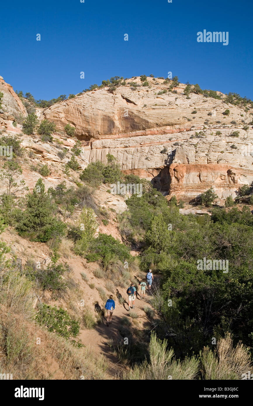 Calf creek hi-res stock photography and images - Alamy