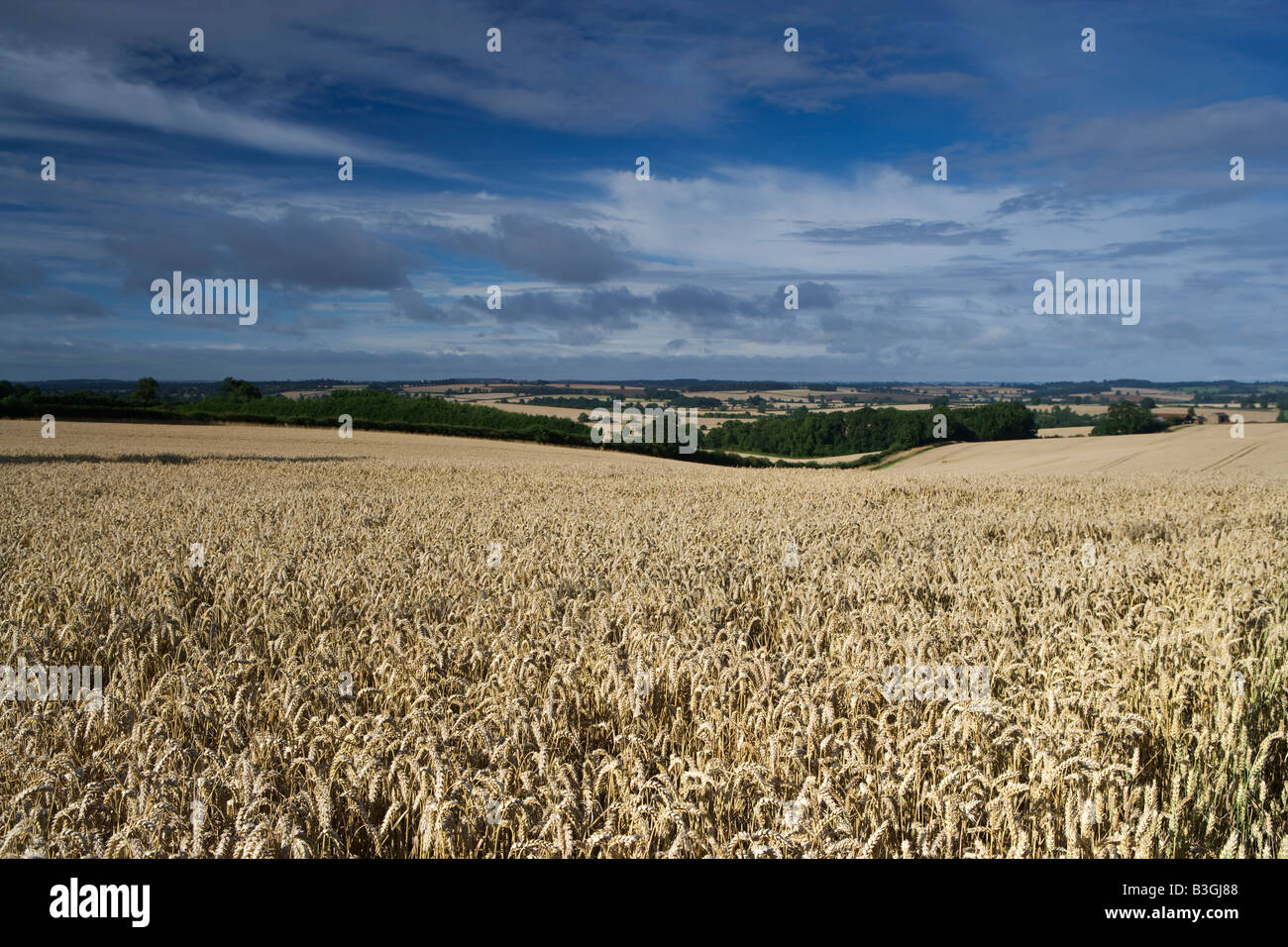Brixworth northamptonshire hi-res stock photography and images - Alamy