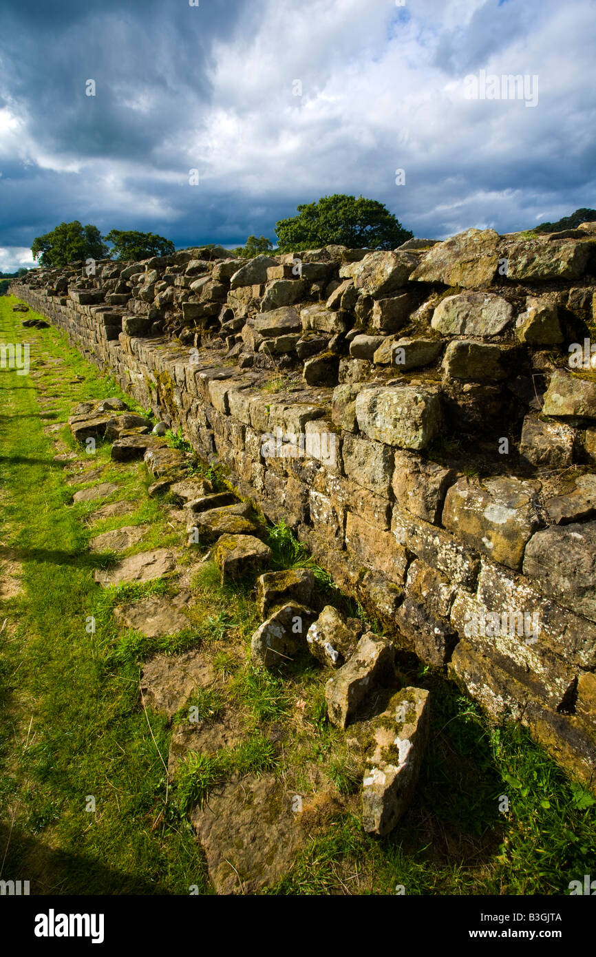 England, Cumbria, Gilsland. Hadrians Wall path running alongside ...