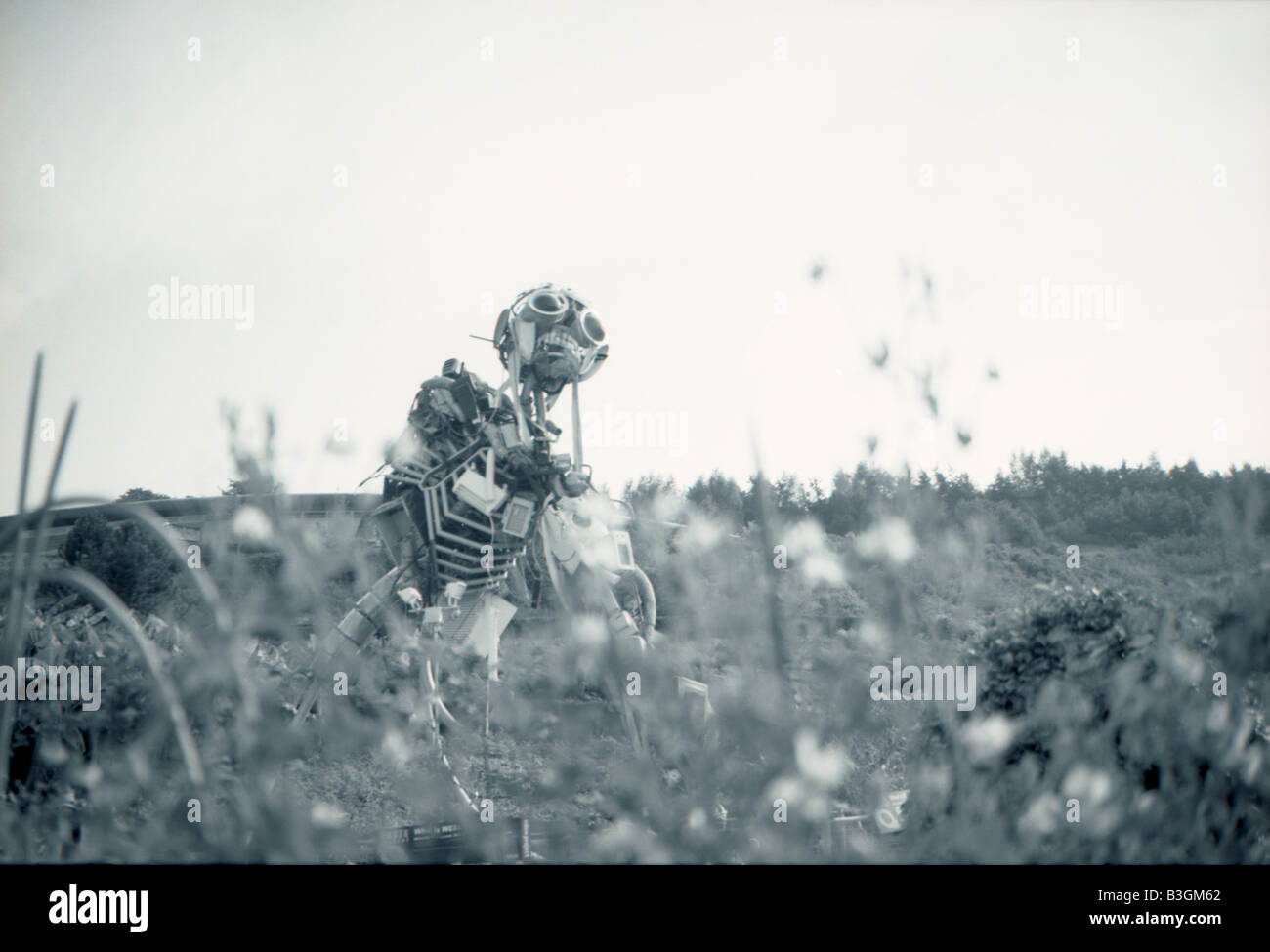 Weee man at the Eden Project Stock Photo - Alamy
