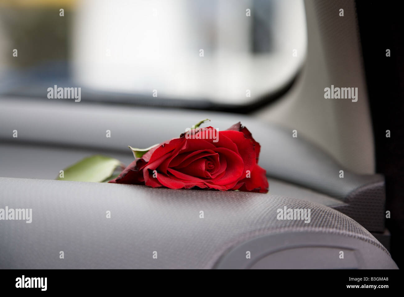 Internal type of the passenger car with rose Stock Photo - Alamy