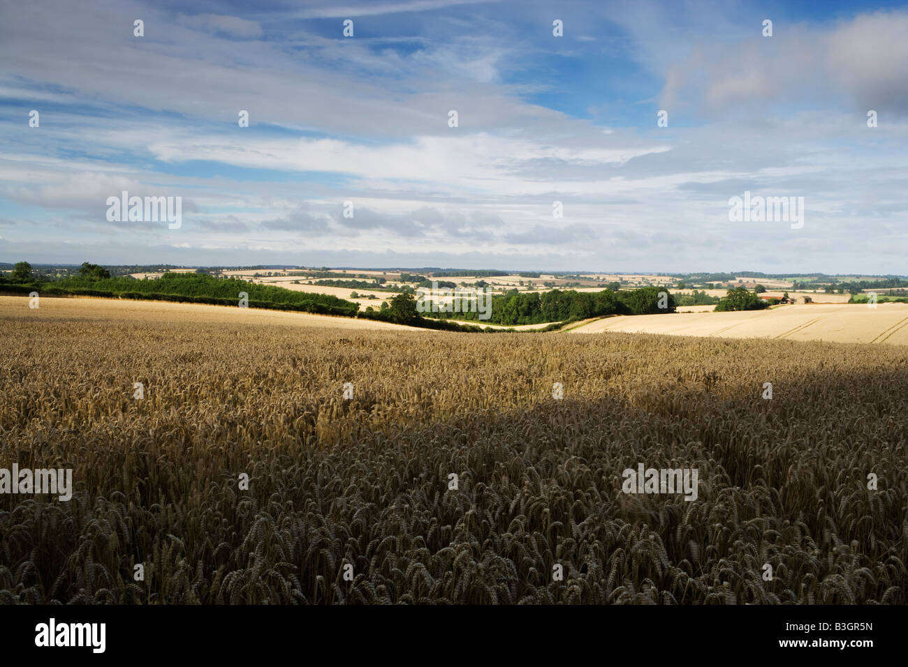 Brixworth northamptonshire hi-res stock photography and images - Alamy
