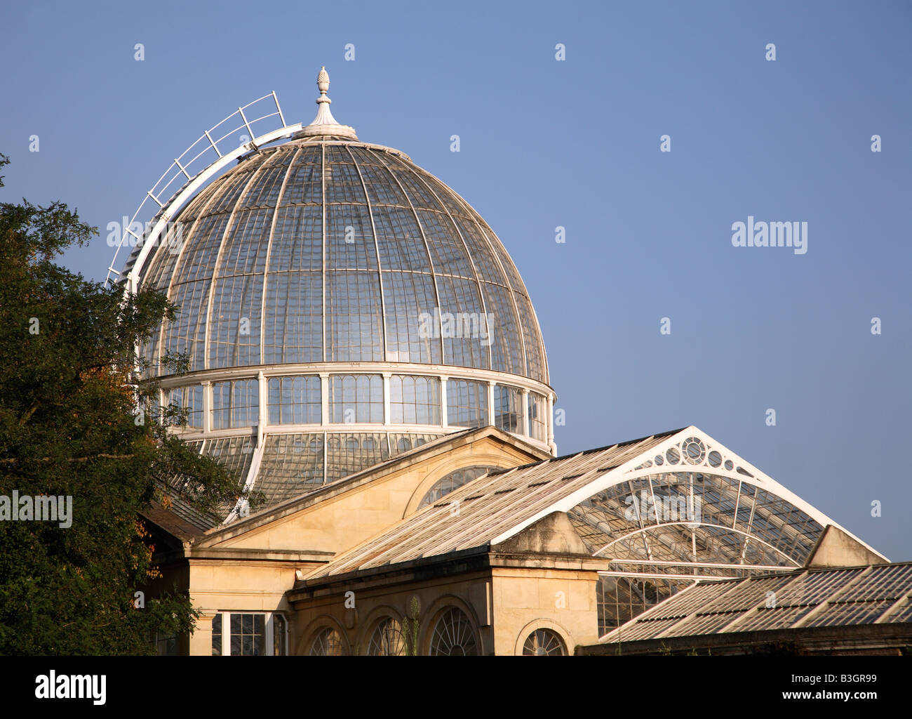 syon house great conservatory Stock Photo - Alamy