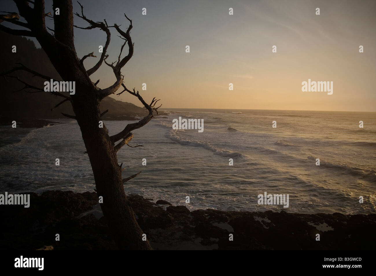 beach beaches wave waves calm sea seas relax relaxation relaxed calming ...