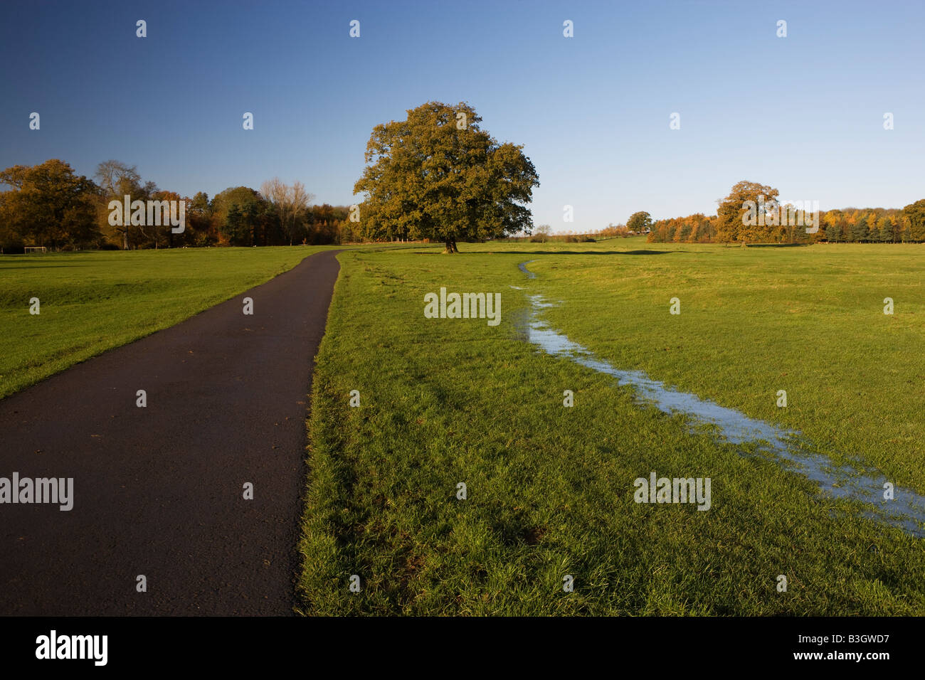 View down a single track gated road, near Naseby, Northamptonshire ...