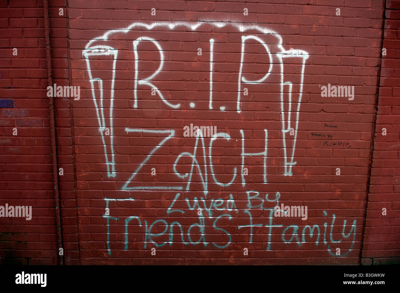 Graffiti paint vandal vandalism suicide south wales teenage depression ...