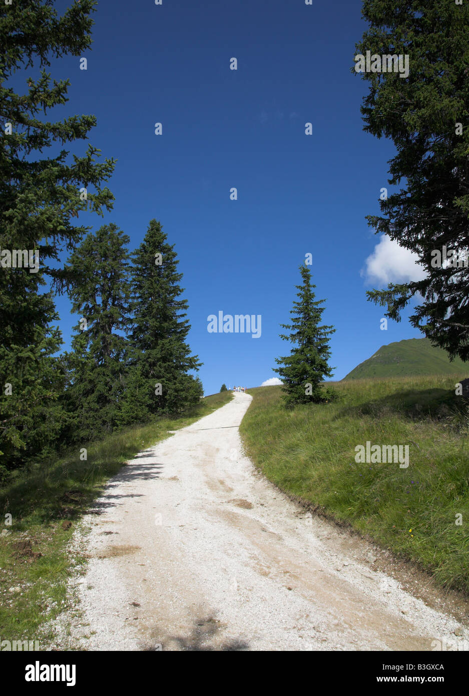 Empty road running through forest Stock Photo - Alamy