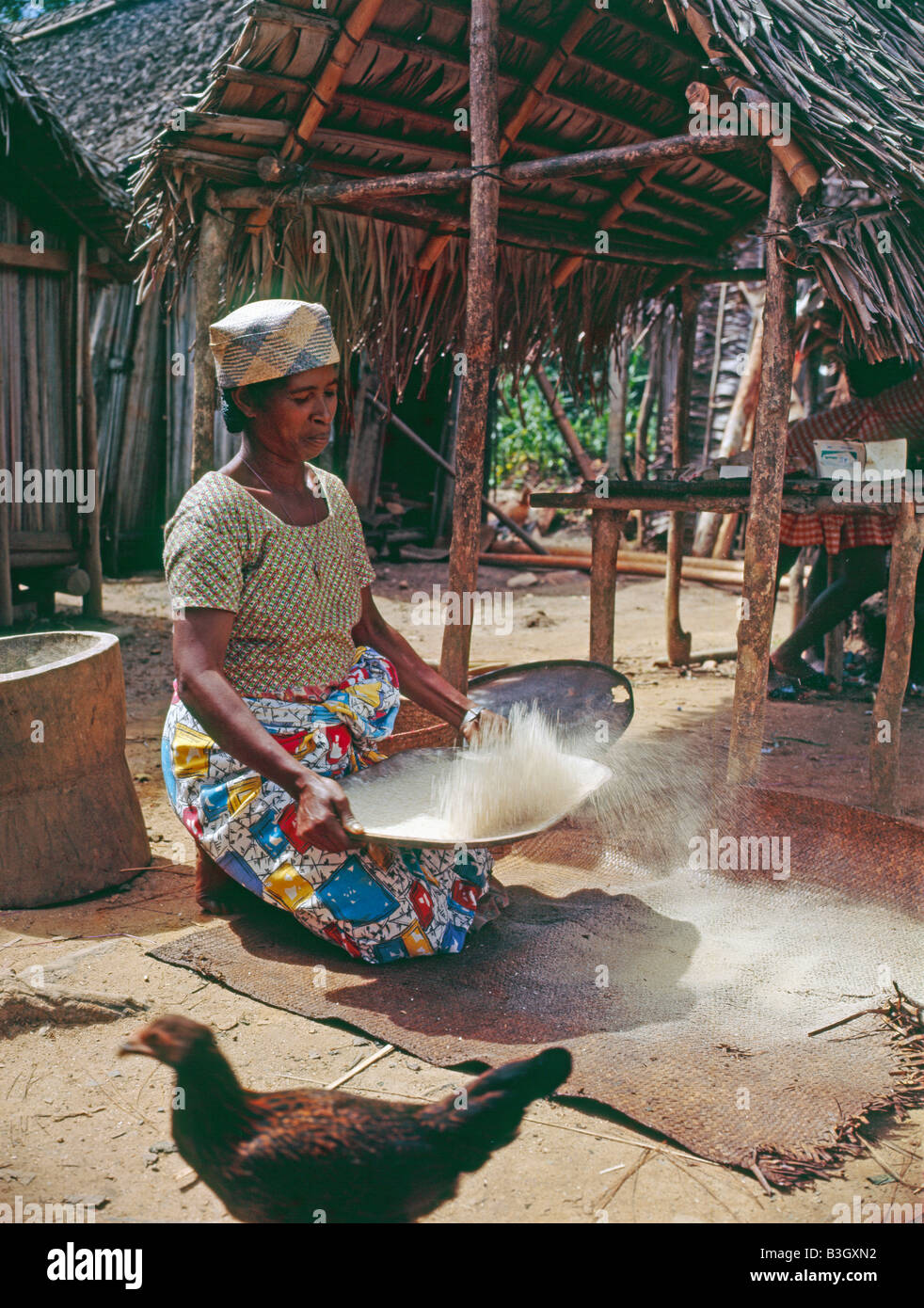 Woman sifting rice hi-res stock photography and images - Alamy