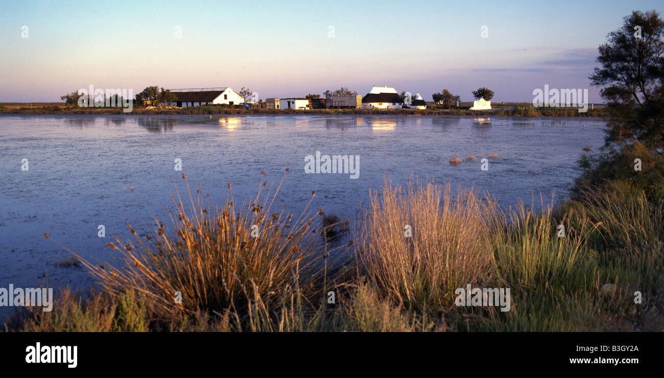 South France Provence Camargue wetlands Stock Photo - Alamy