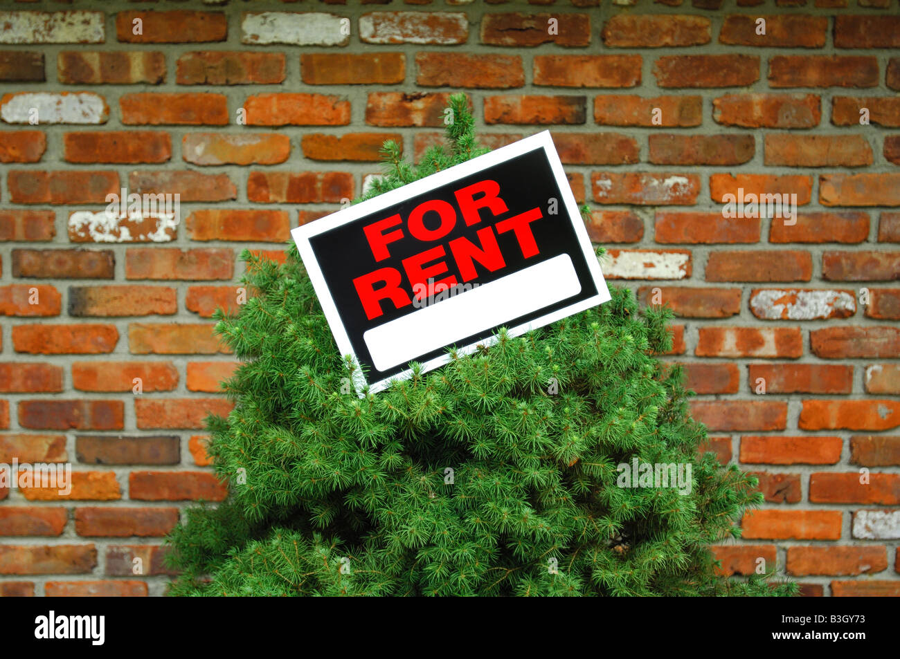 House rent sign hi-res stock photography and images - Alamy