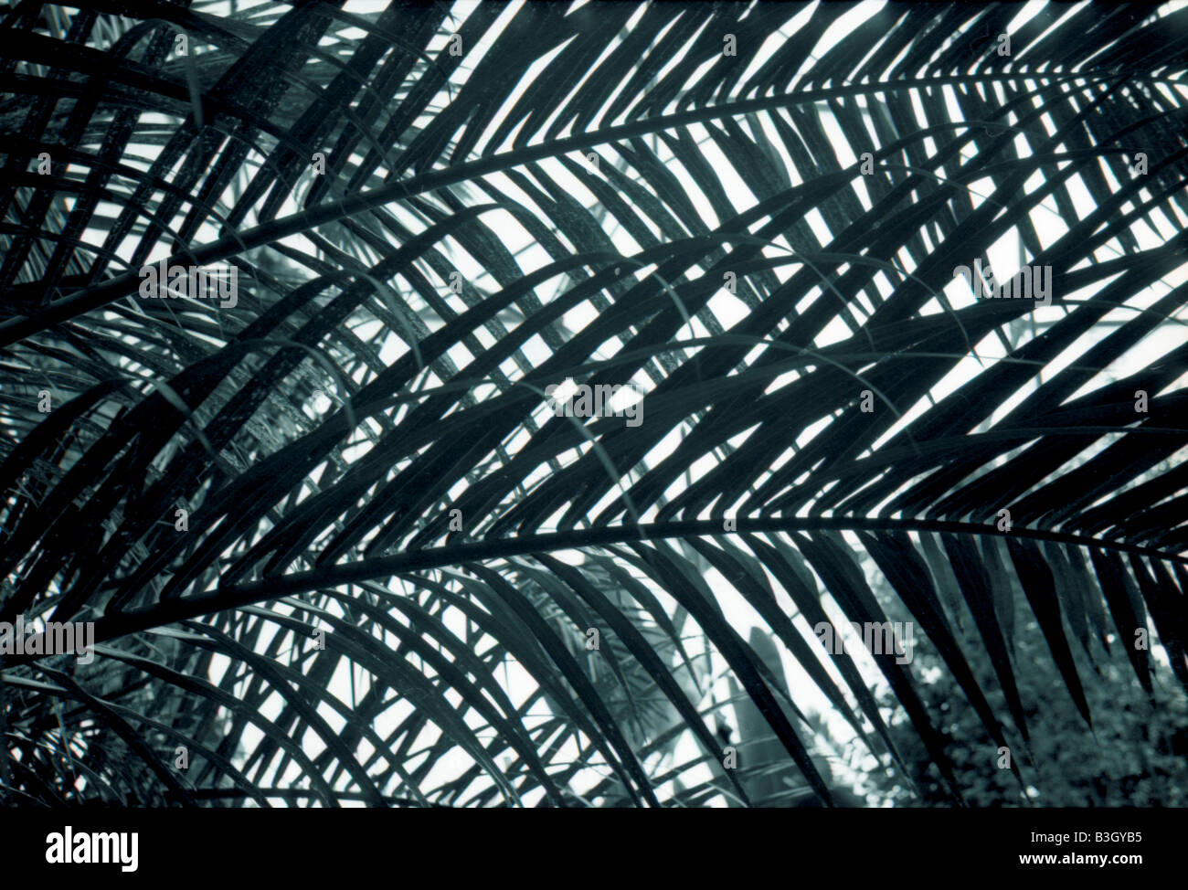 Eden project biome silhouette hi-res stock photography and images - Alamy