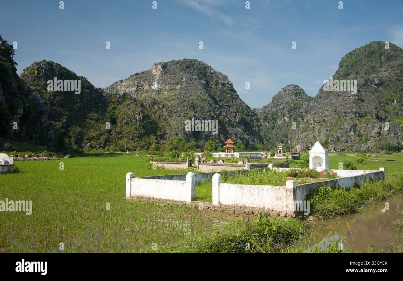 Vietnam grave rice fields hi-res stock photography and images - Alamy