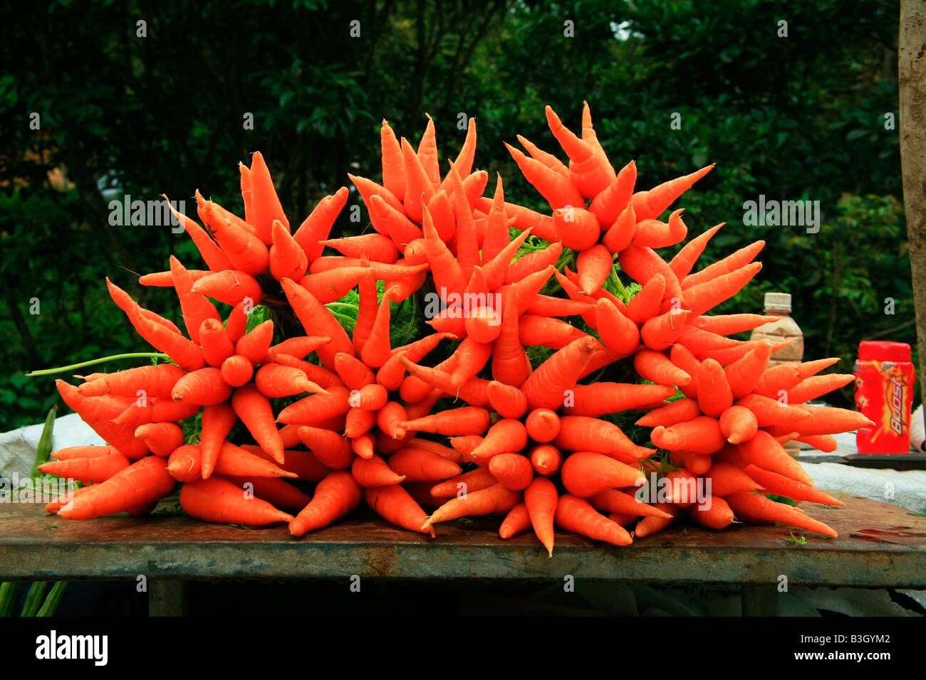 Indian carrots hi-res stock photography and images - Alamy