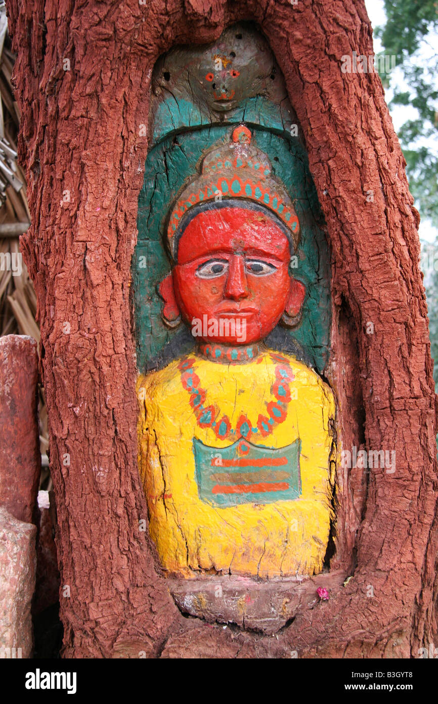 Karnataka tree trunk hi-res stock photography and images - Alamy