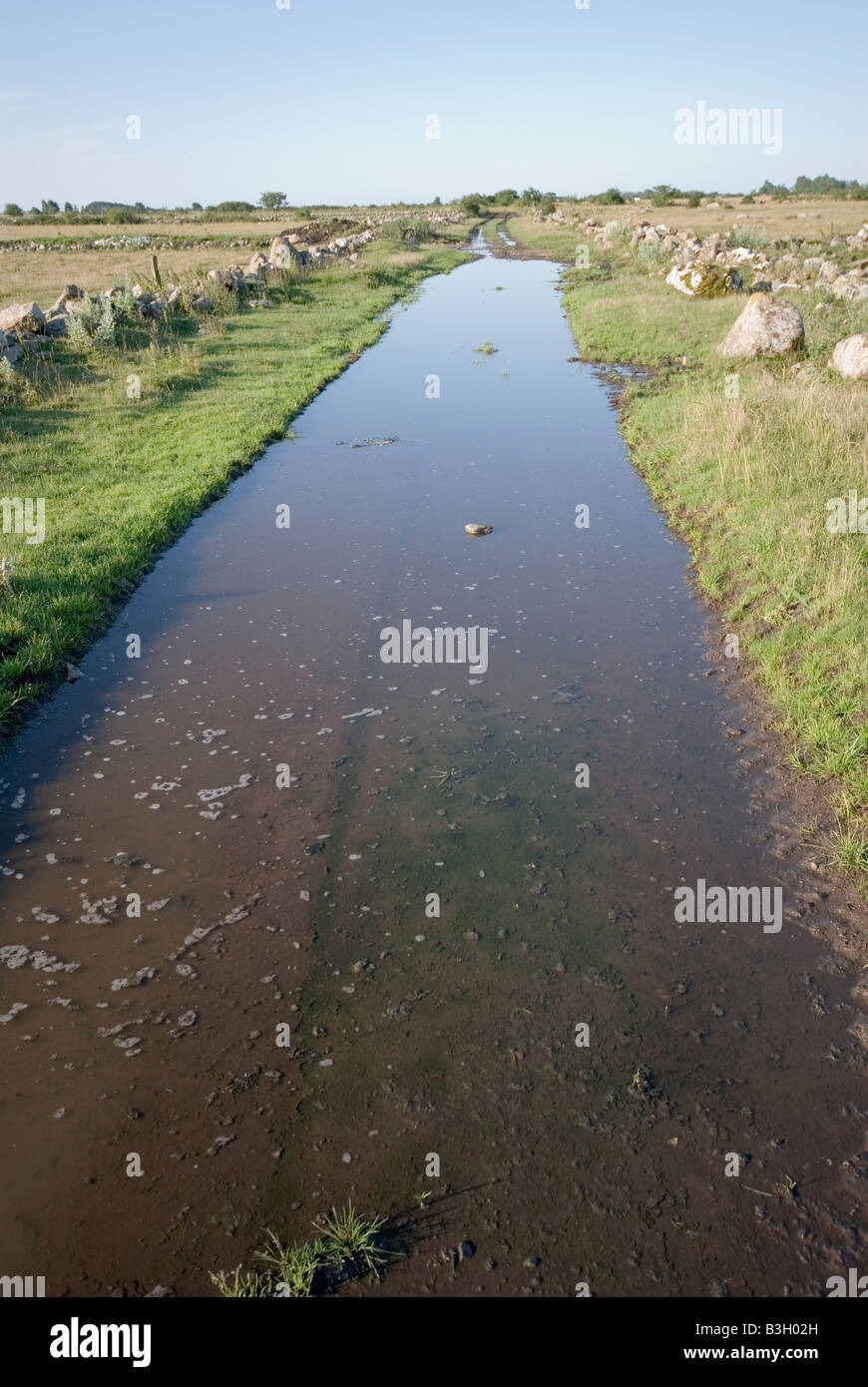 Water in the road Stock Photo - Alamy