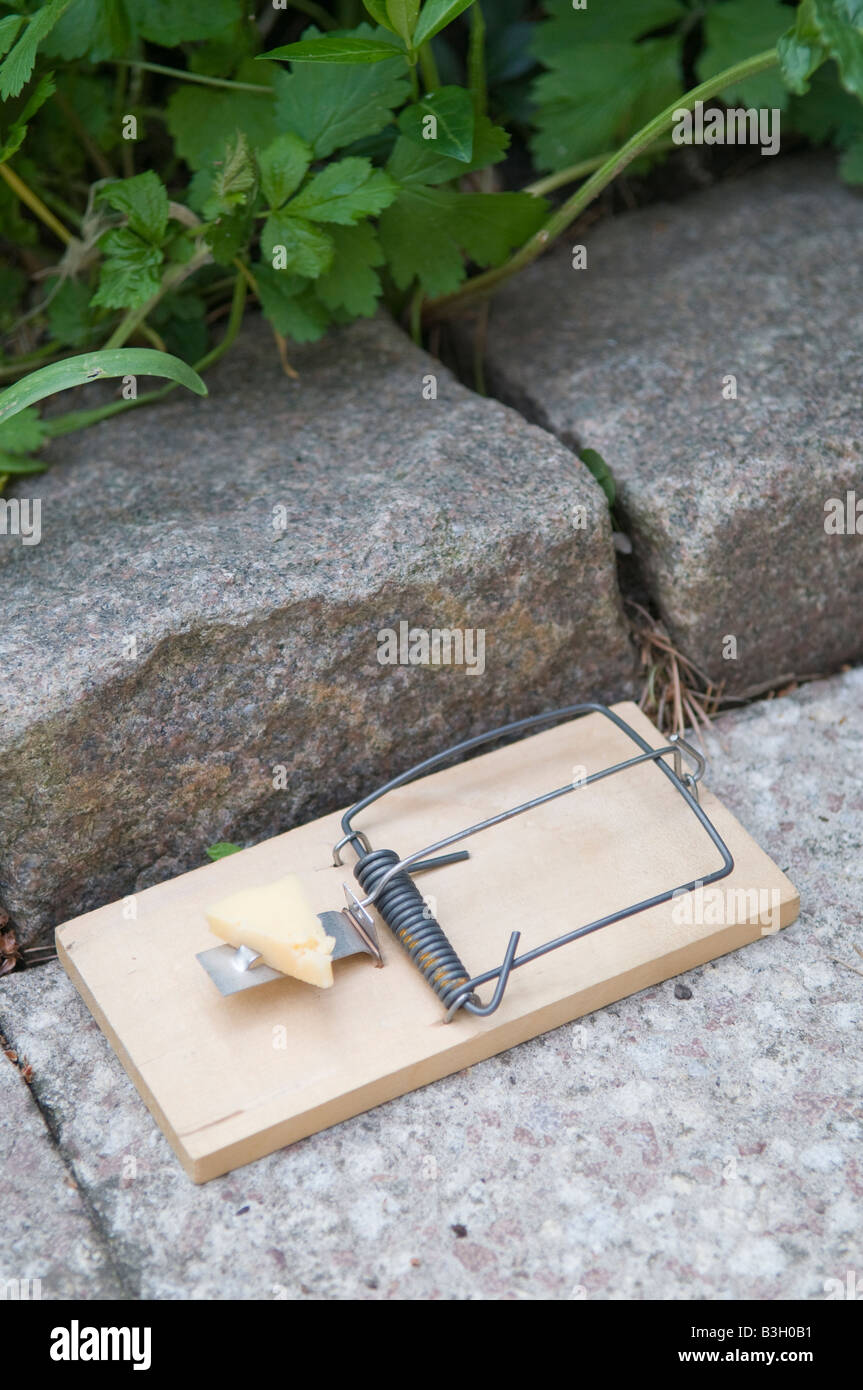 Pitfall trap hi-res stock photography and images - Alamy