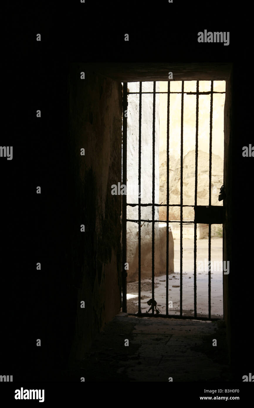 one secluded prison cell door in dark black room Stock Photo - Alamy