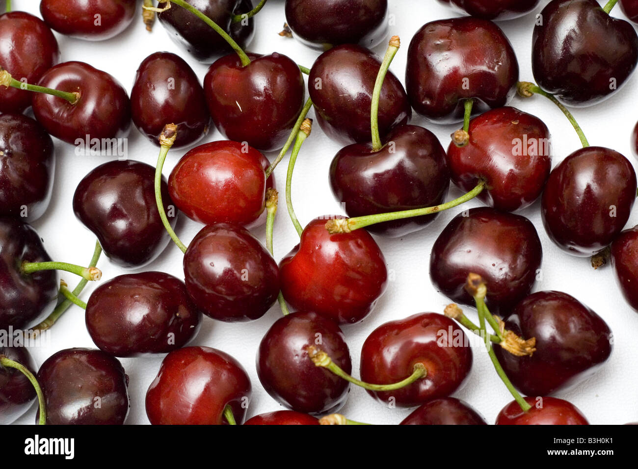 Beautiful organic cherries Stock Photo - Alamy