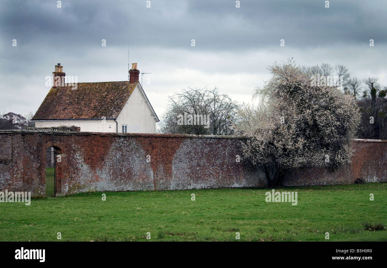 Blossom Tree, wall and the house Stock Photo - Alamy