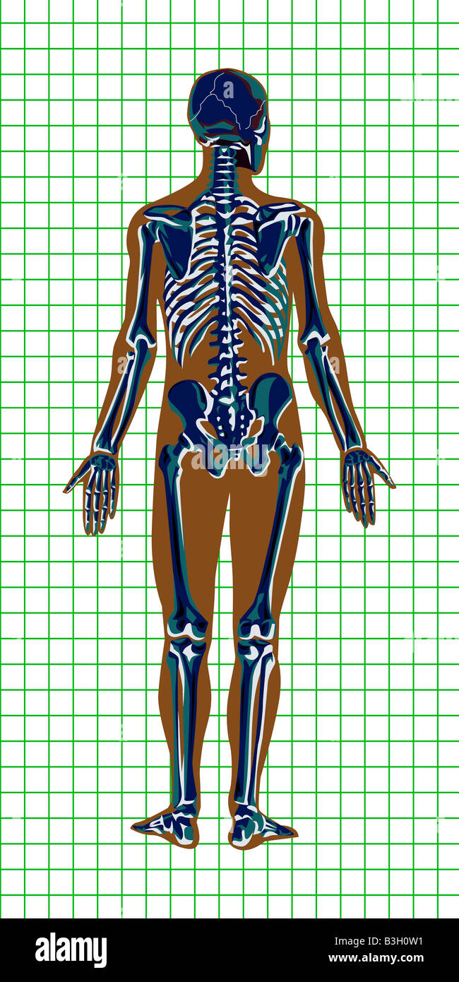 computer generated skeleton composited on graph chart Stock Photo - Alamy