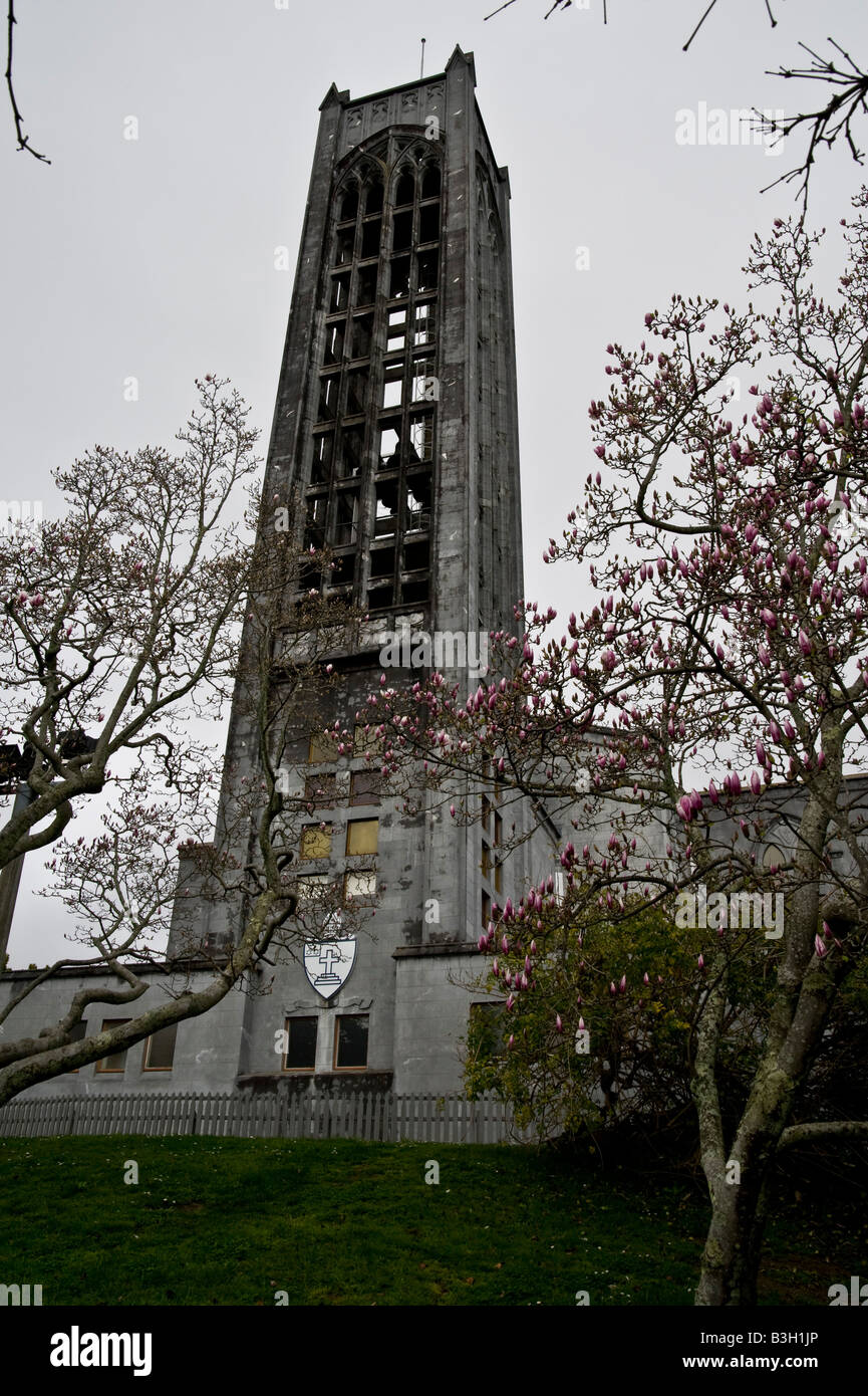 Christ Church Anglican Cathedral Nelson New Zealand Stock Photo - Alamy