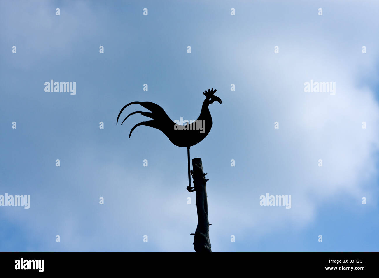 Weathervane weathervanes hi-res stock photography and images - Alamy