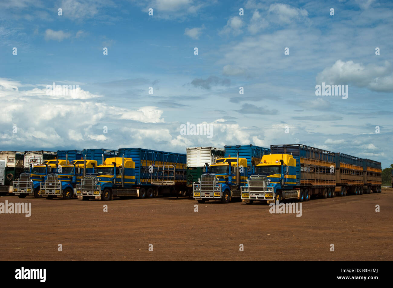 a group of matching road train semi trailer parked together in the ...