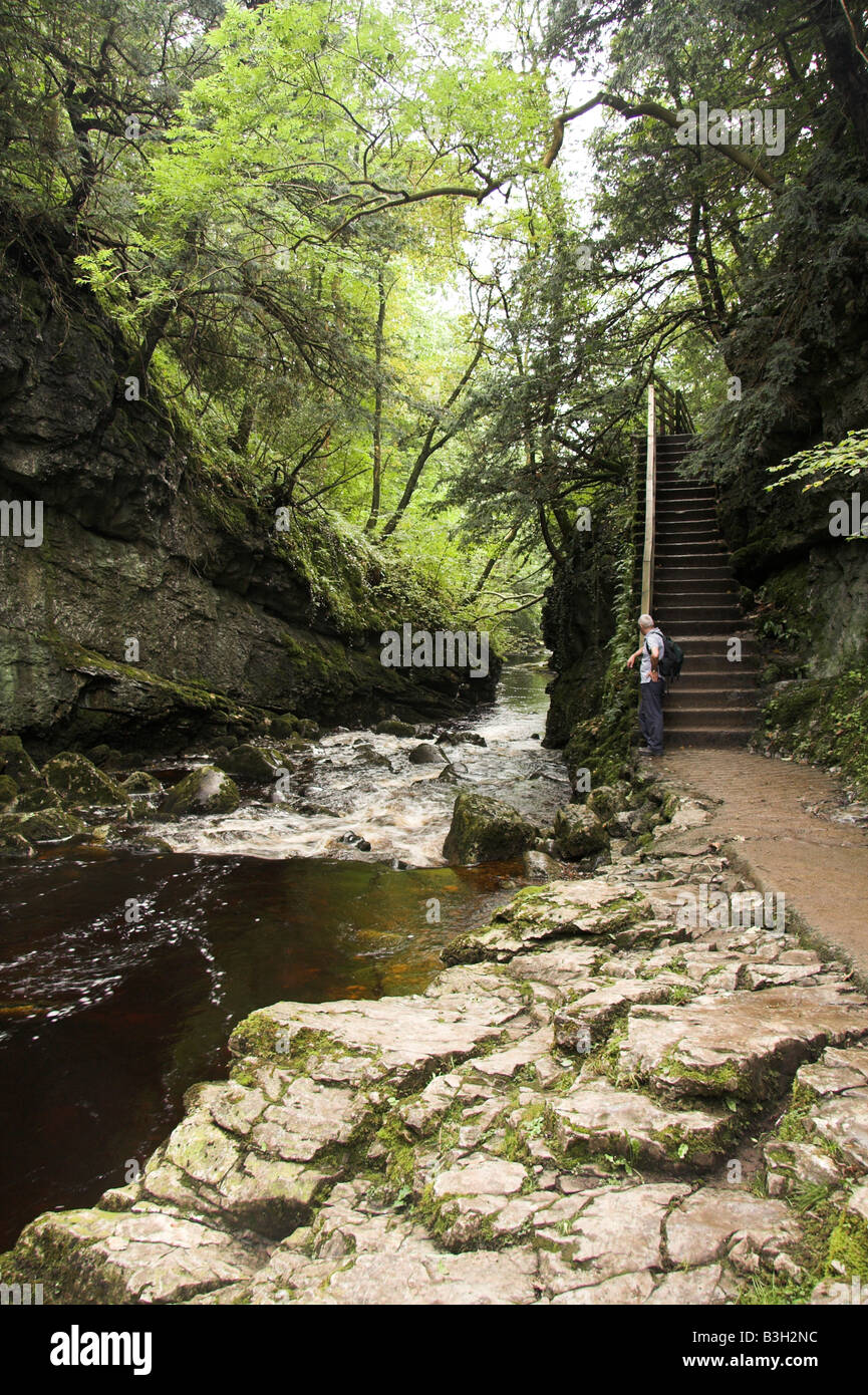Ingleton falls walk hi-res stock photography and images - Alamy