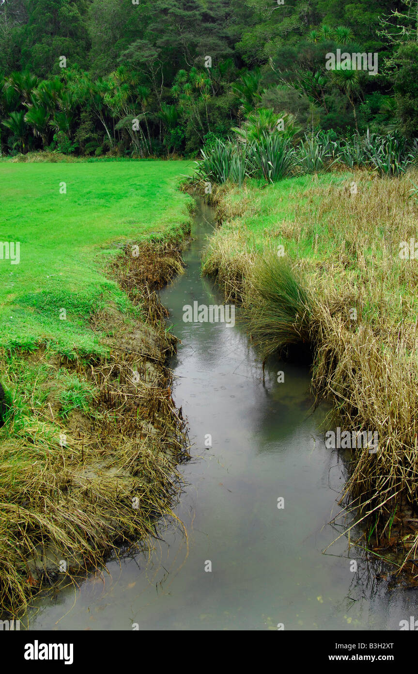 Meandering stream in a valley, Waitakere Ranges, North Island New ...