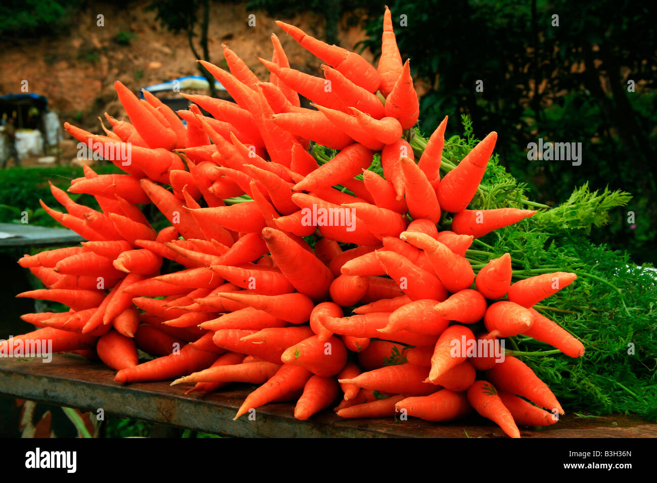 Fresh Carrots on sale in Munnar,Kerala,India Stock Photo - Alamy