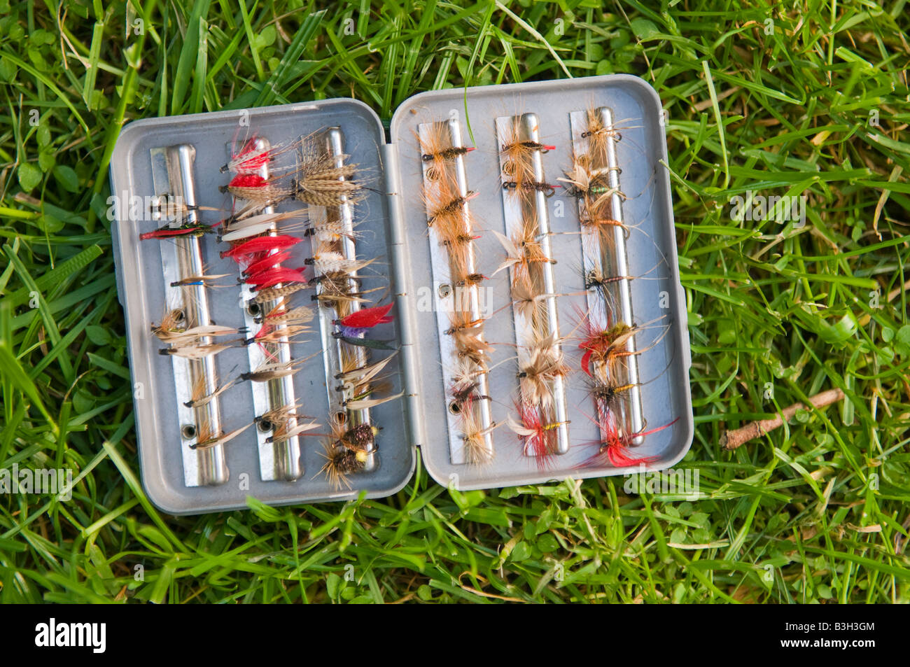 Box with flies hi-res stock photography and images - Alamy