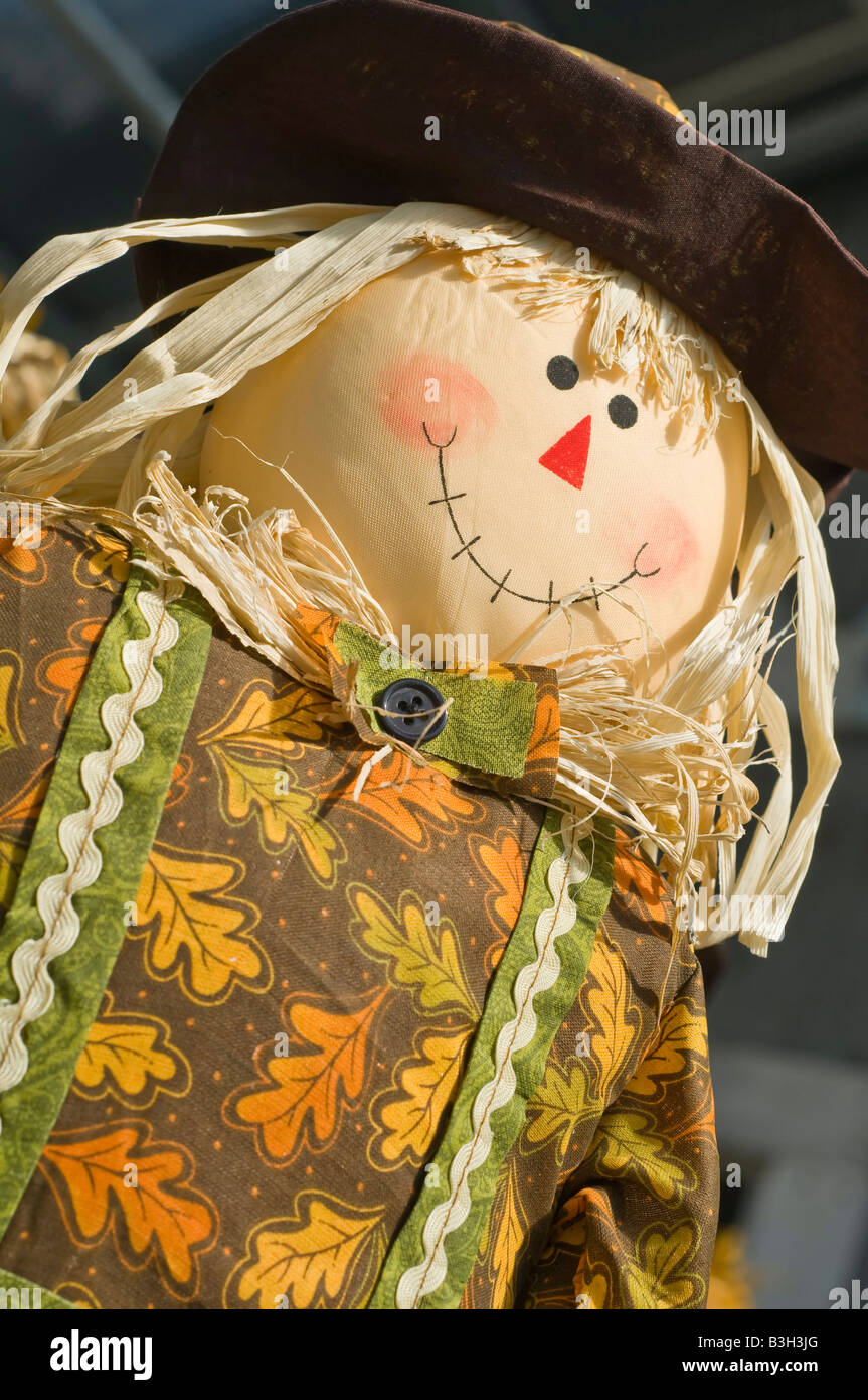 Happy scarecrow face hi-res stock photography and images - Alamy
