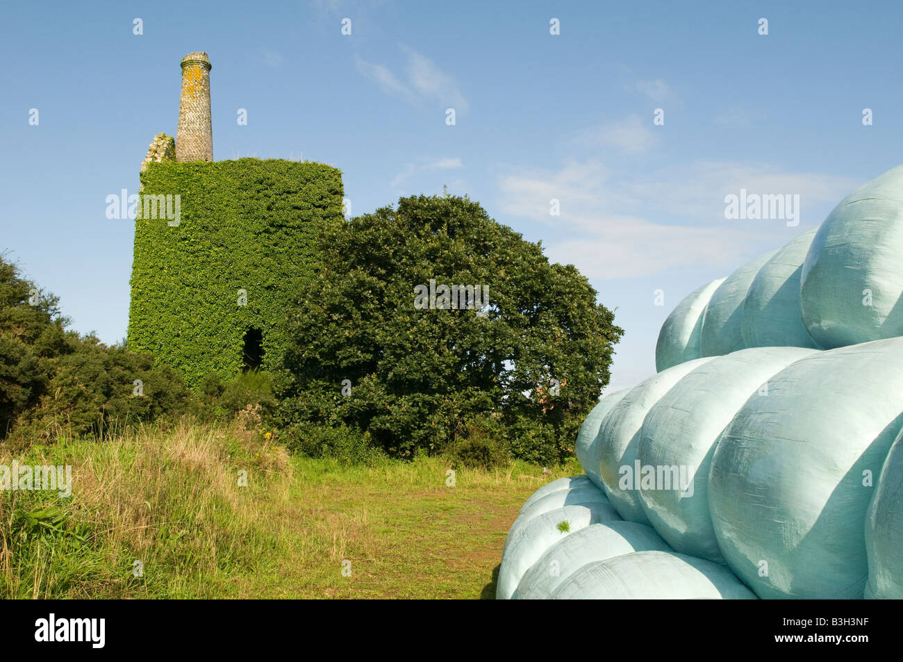 Cornish tin Mine polgooth Stock Photo - Alamy