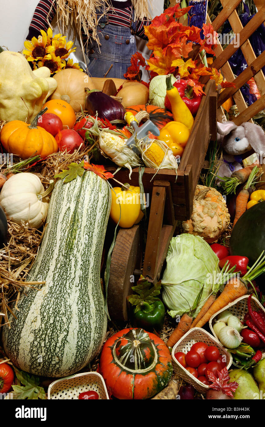 Vegetable Cornucopia on Display at the Kentucky State Fair Louisville ...