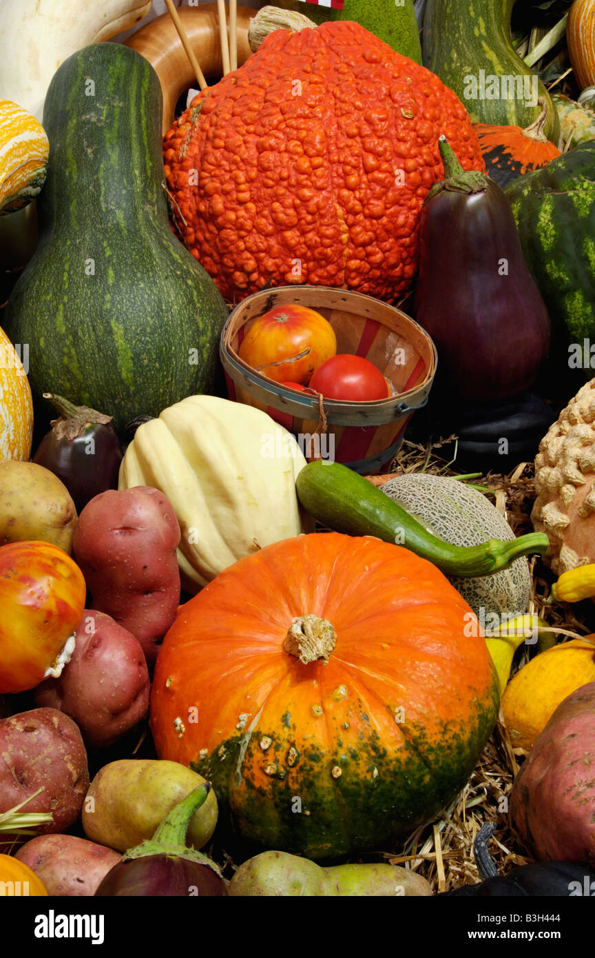 Vegetable Cornucopia on Display at the Kentucky State Fair Louisville ...