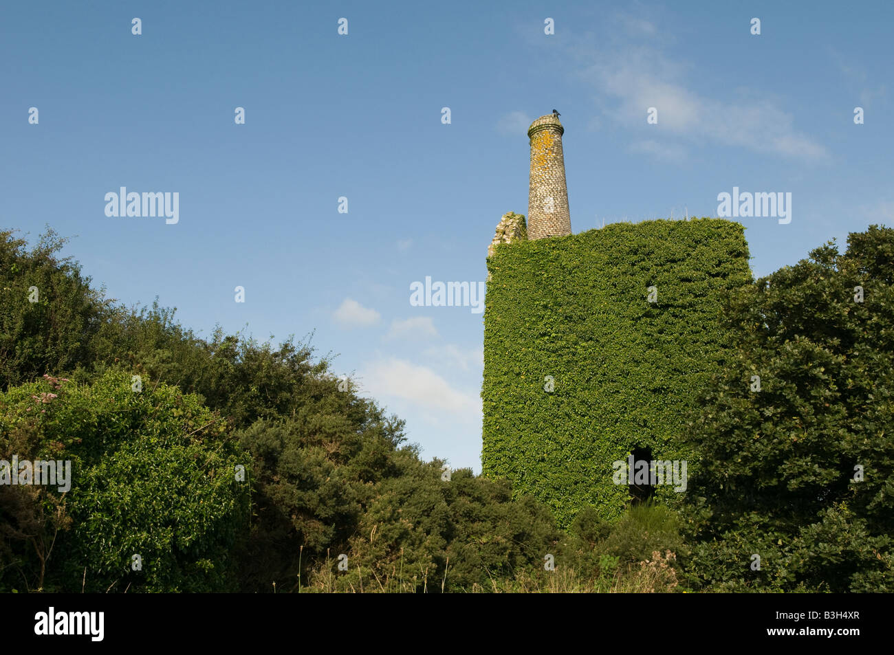 polgooth Tin mine Cornwall Stock Photo - Alamy