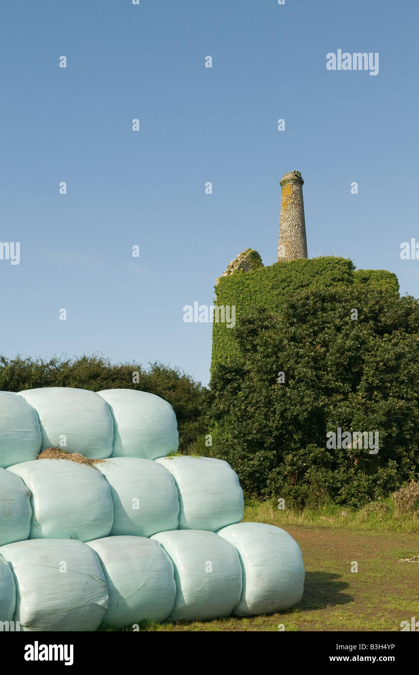Polgooth Tin Mine Cornwall Stock Photo - Alamy