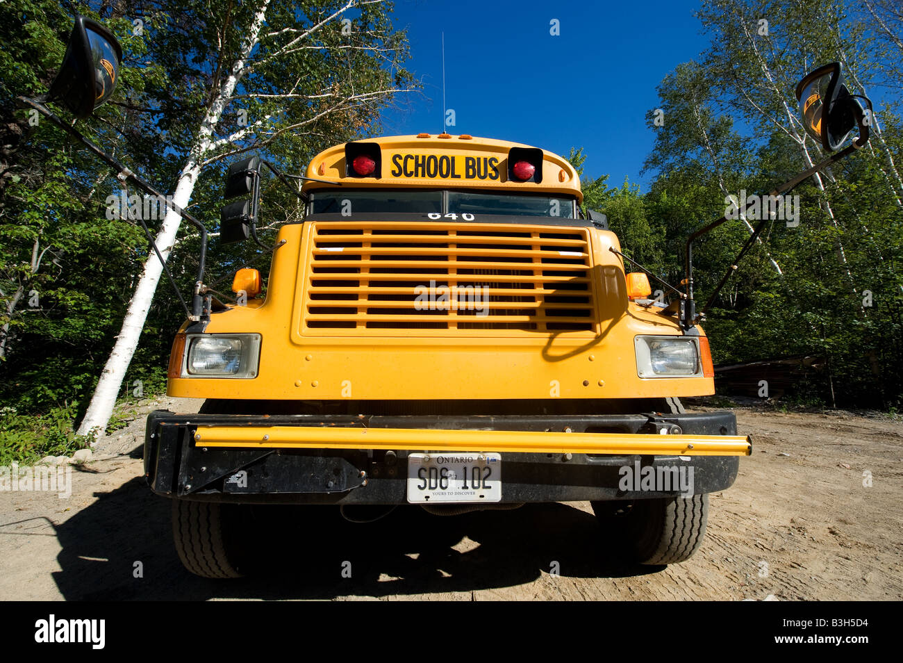 A large yellow school bus front from a low perspective Stock Photo - Alamy